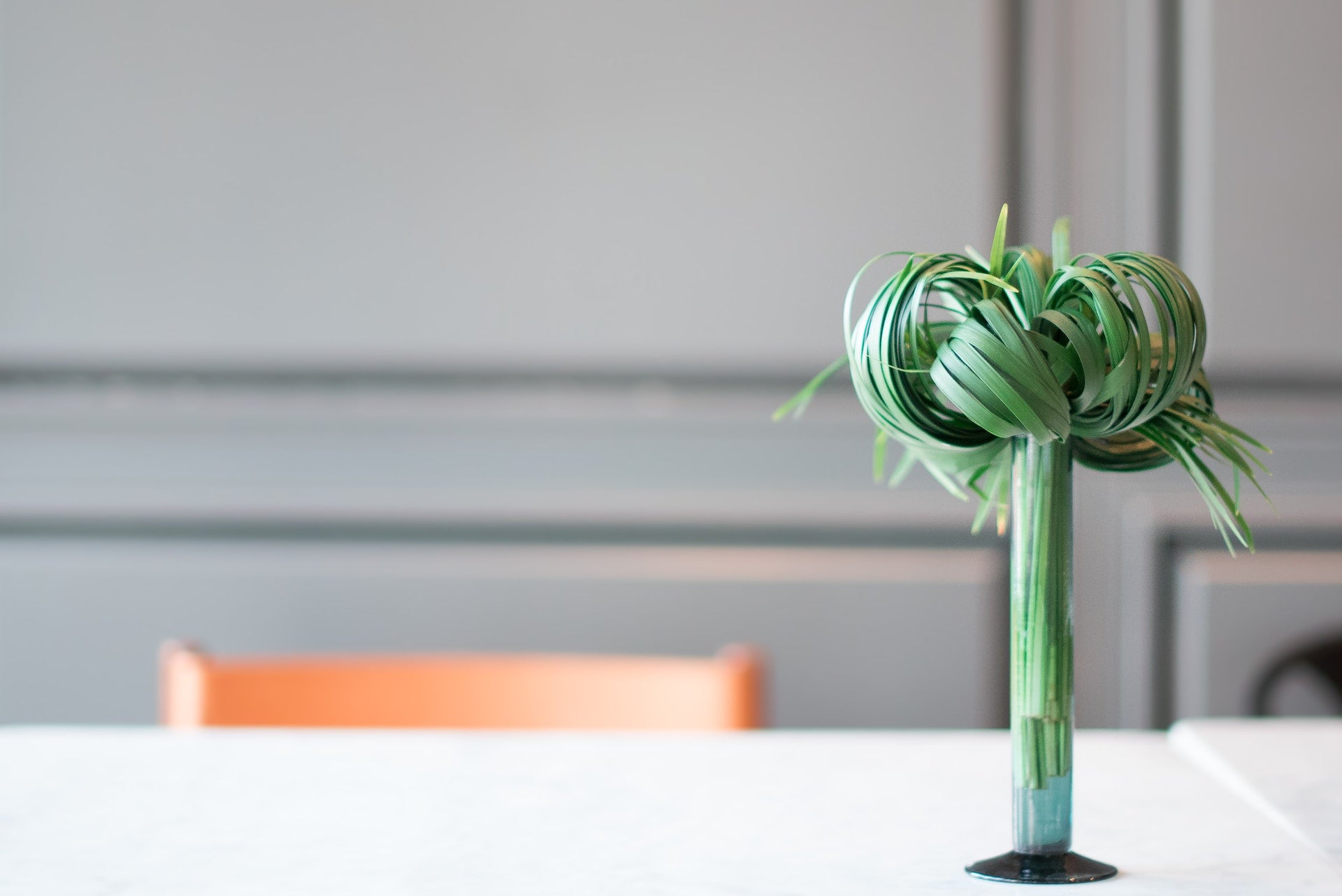 Sustainable Living: The Benefits of Algae-based Air Purifiers as the M ...