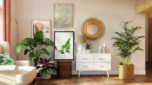 Aerium: Completing Your Indoor Ecosystem – AlgenAir